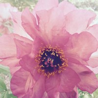 The passing of time | Simple Path to JOY